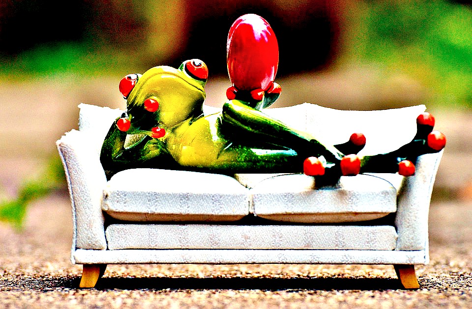 Décoration : quand convivialité rime avec canapé